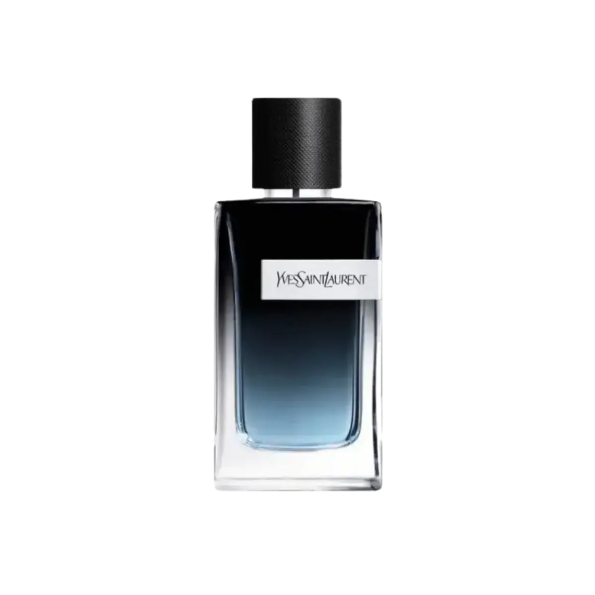 YSL Y EDP - compradecants.com